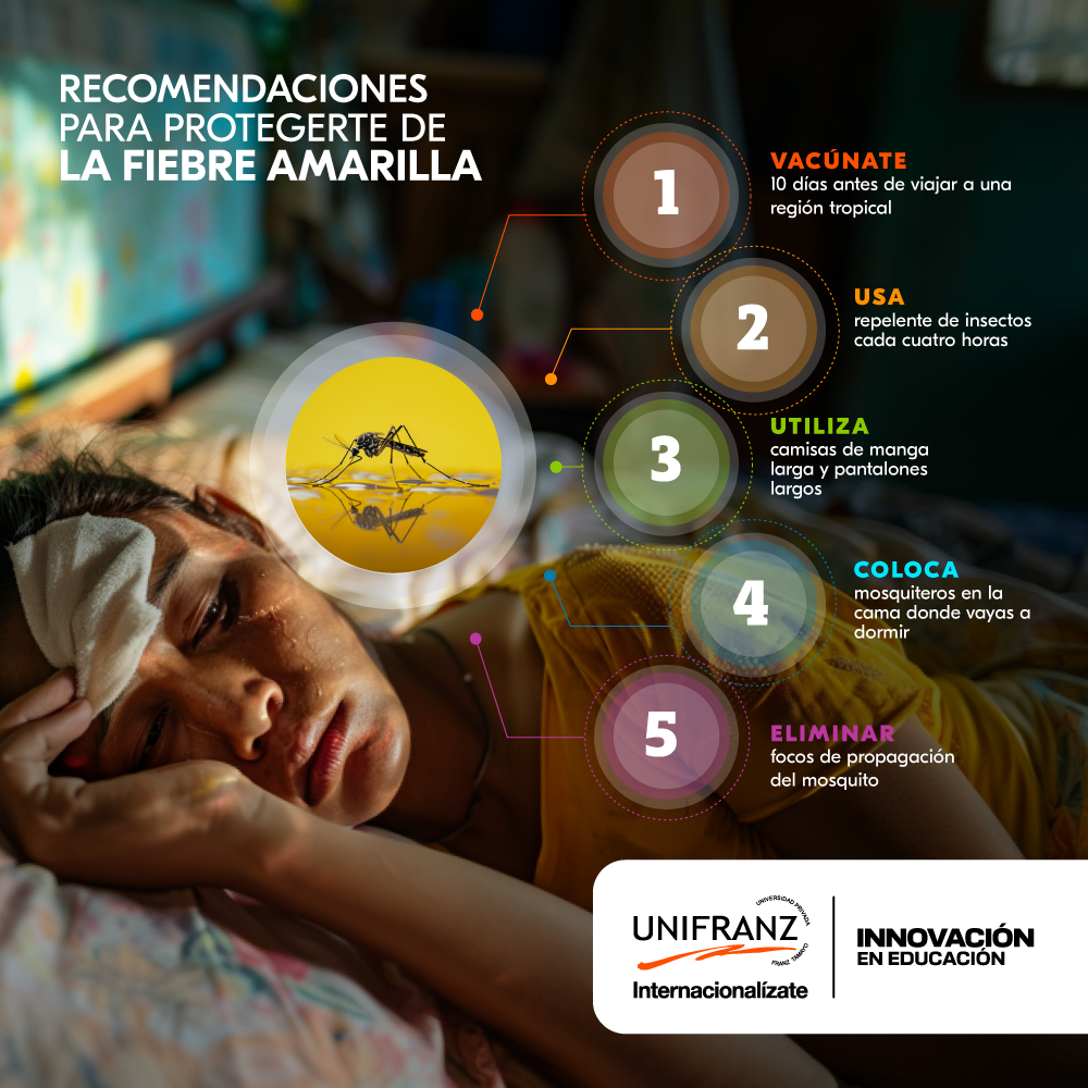La Vacuna El Mejor Antídoto Contra La Fiebre Amarilla